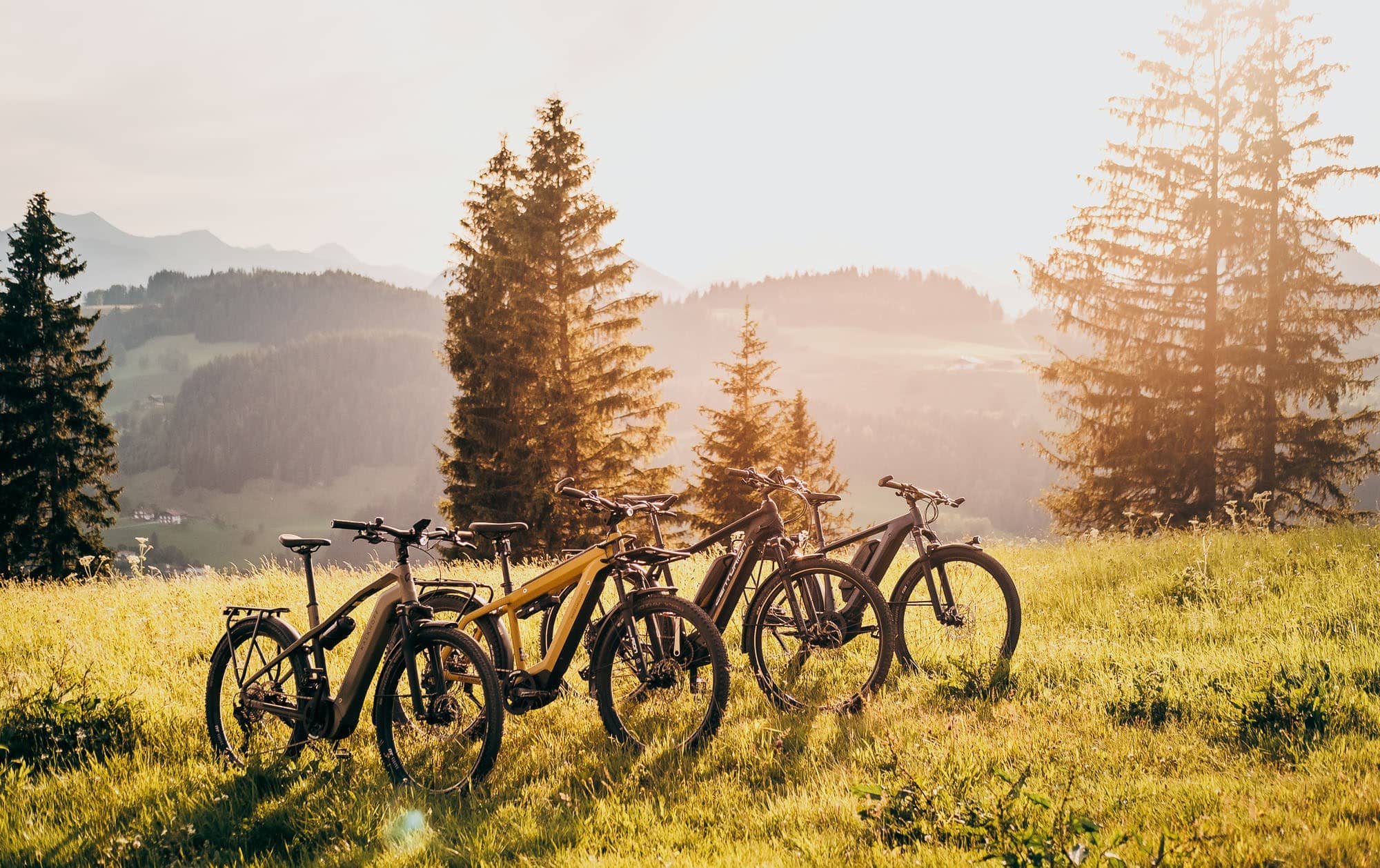 E-Bike Classifications - Electric Bike Classes Explained